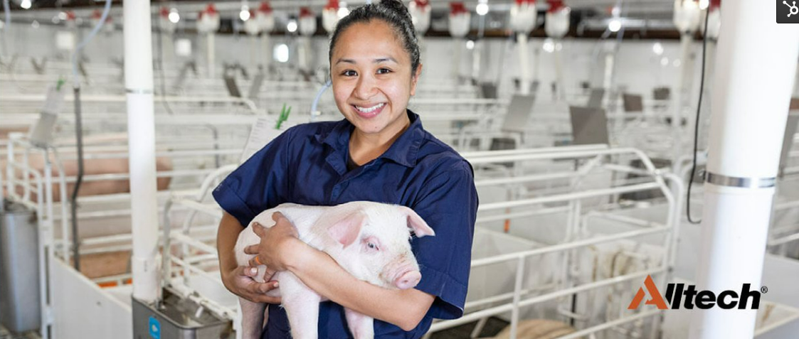 Alltech® Pork Team — Research